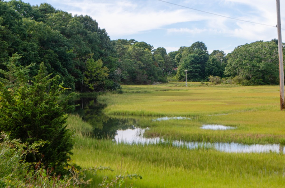 Mid-September Check In – Dreaming the World