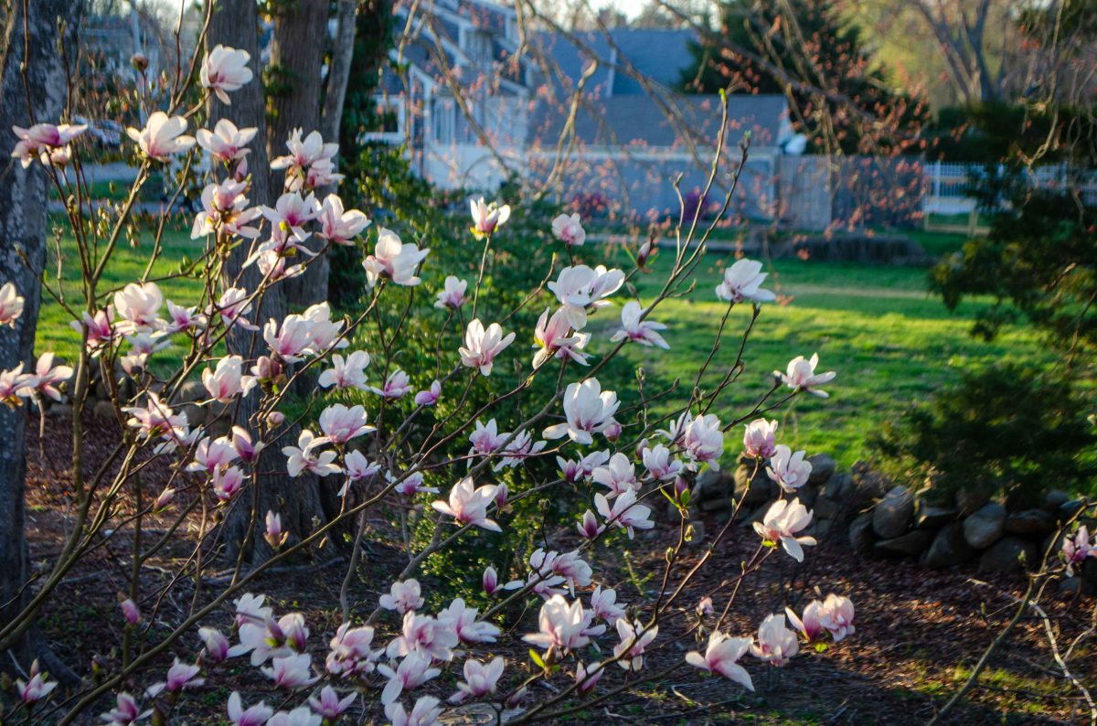 It’s April! – Dreaming the World