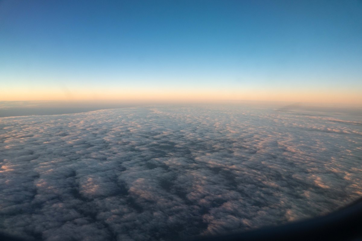 Spring Turns to Summer – Dreaming the World