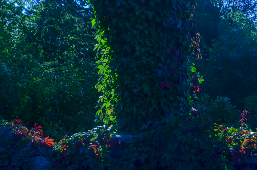 October Chill – Dreaming the World